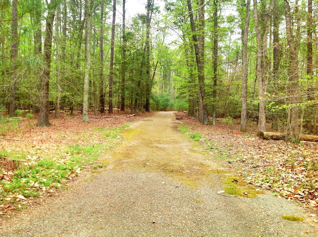 Day 20: On Running and Being a Runner, Pt. 1 | The Trott Line